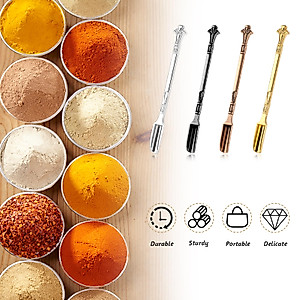 Mini Spoons Set of 4 Mini Shovel Spice Spoon Small Spoons for Spice Small Salt Spoon Mini Spatulas Spoon Tiny Spoons for Powder Small Gold, Silver, Antique Brass, Black Gray Spoons