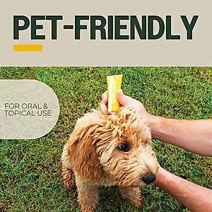 Pur O3 Fully Ozonated Sunflower Oil - Pure, Natural, Organic Ozonated Oil - Sunflower Oil Skin Care from Oxygenated, Ozonized Sunflower Oil - Ozone Oil in a Glass Jar, 2 oz