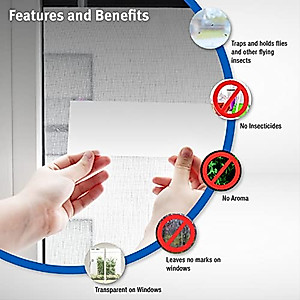 Raid Window Fly Trap, 4 Count (Pack of 6)