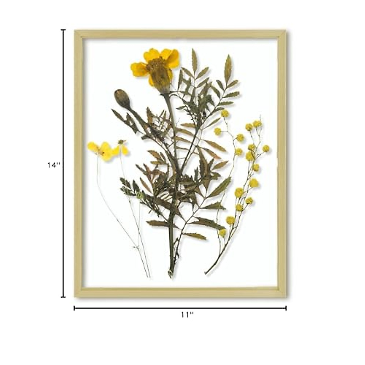 Frametory, Floating Picture Frame 11x14 - Gold Aluminum Metal Photo Frame - Real Glass of Front - for Wall Mount Displays