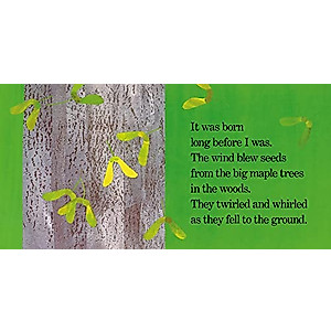 Red Leaf, Yellow Leaf