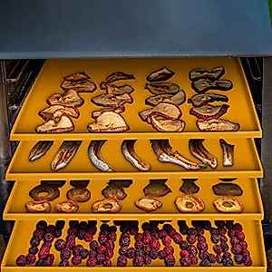 Vesici Set of 8 Silicone Dehydrator Sheets 12.2 x 10.2 Inch, Non Stick Dryer Mats with Edge High Temperature Resistance Fruit Trays Reusable Dehydrator Trays for Fruits Meat Vegetables Herbs(Orange)