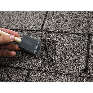 Sashco Sealants 14024 Through The Roof Sealant 2 Gallon Case, Clear