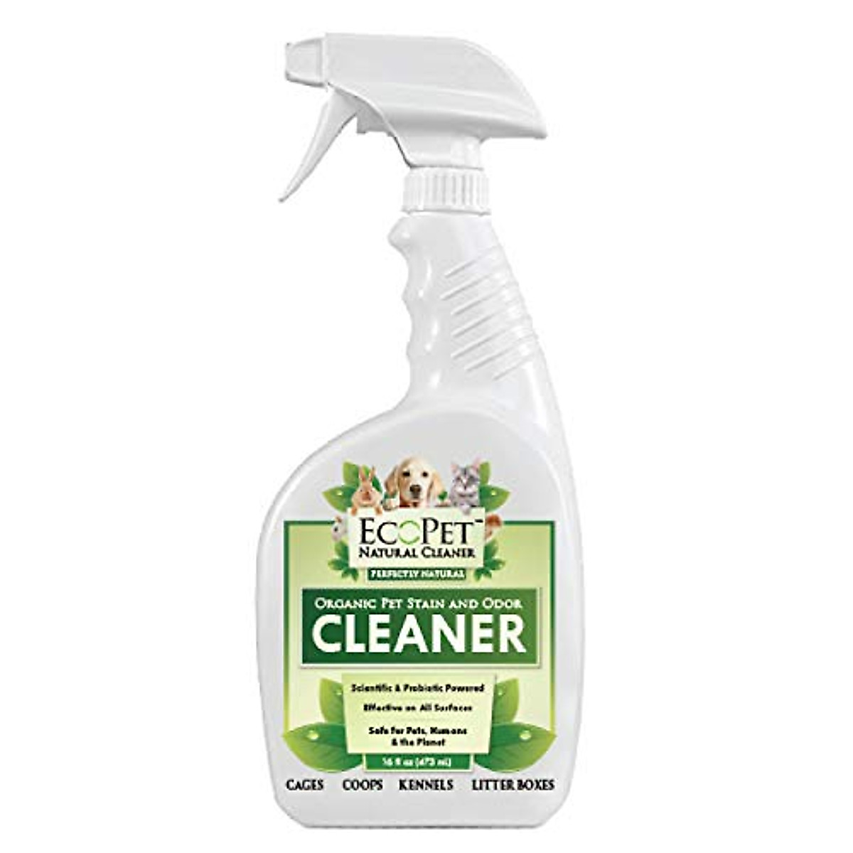 EcoPet All Natural Pet Odor and Stain Remover - Probiotic Powered Multi Surface Cleaner - Effective Non-Toxic Pet Odor Eliminator and Pet Stain Eraser, Scented, Trigger Spray, 16 oz