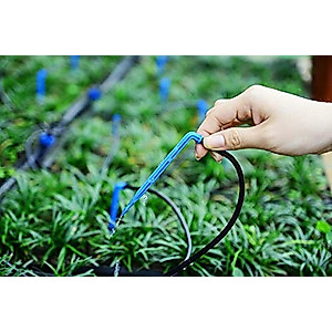 (100-PACK) - 6" Inch .5 GPH - Angled Drip Emitter Stake for Precise Watering & Irrigation, Greenhouse, Container Gardening, Home Garden, and Hydroponics Growing - for 1/8" Tubing (6" Inch Drip Stake)