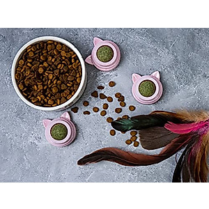 XanderPets Catnip Balls That Stick On Wall - Cat Nips Organic - Magic Cat Balls - Interactive Toys for Indoor Cats - Essential Cat Accessories - USA 3 Pack (Tabby Grey)