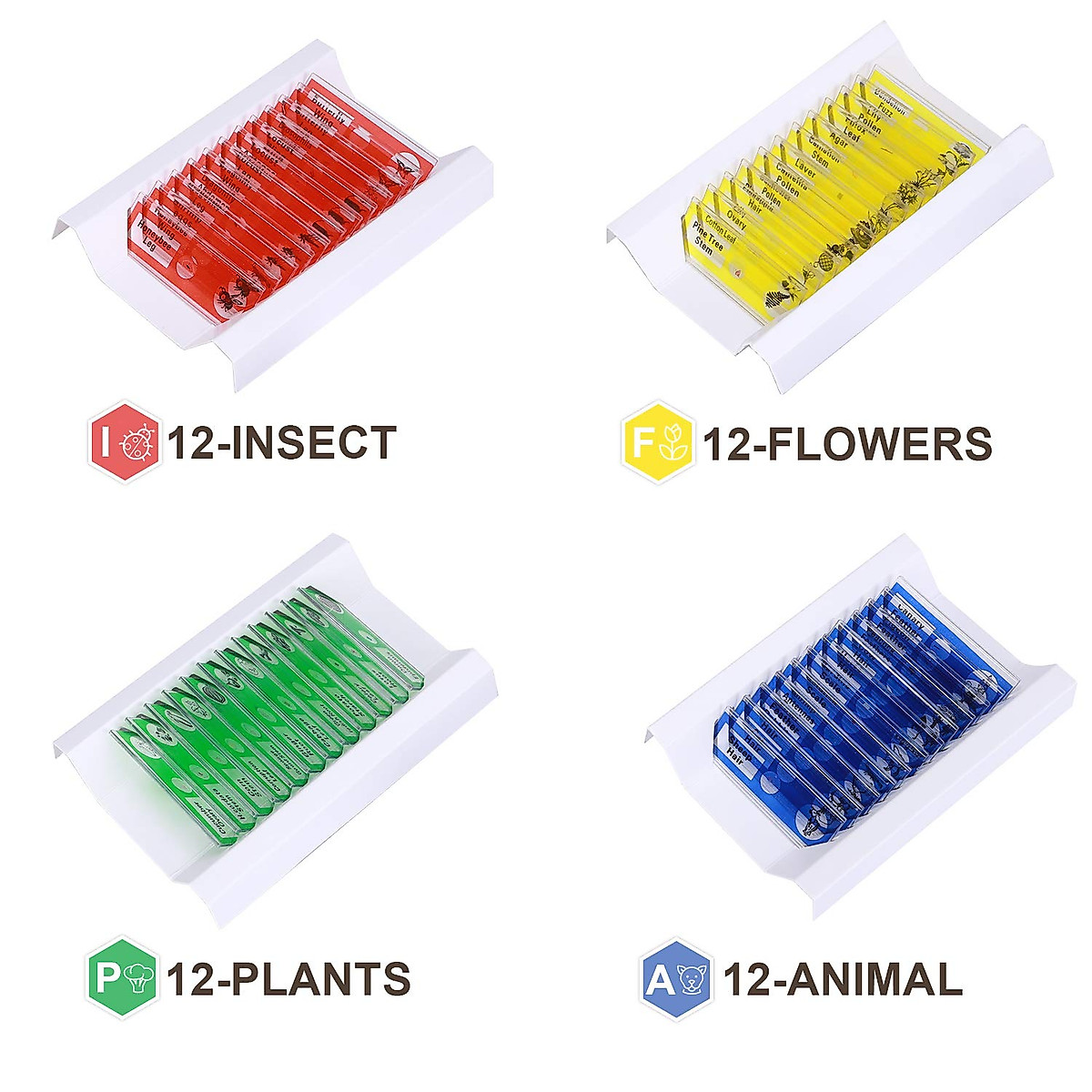 48PCS Kids Plastic Prepared Slides for Microscope of Animals Insects Plants Flowers Sample Specimens for Basic Biological Science Education #81053