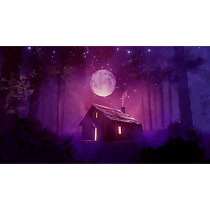 Dreams - PlayStation 4 (Renewed)