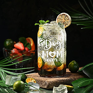 HAYOOU Dog Mom Gifts, Dog Lover Gifts for Women, Mothers Day Gifts,Christmas, Birthday Gifts for Dog Lovers Female Women, Premium Laser Etched Engraved16 Ounces Jar Drinking Glasses Cups