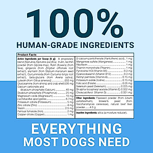 EverPup Dog Supplement, 720g – All-in-One Multivitamin with Glucosamine, Probiotics, Antioxidants for Joint, Immune & Digestive Support for All Ages