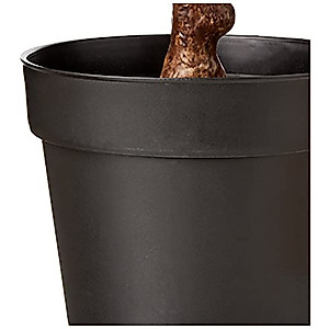 Amazon Brand - Stone & Beam Artificial Fiddle Leaf Fig Tree with Plastic Nursery Pot, 4.3 Feet (51 Inches) / Medium, Indoor