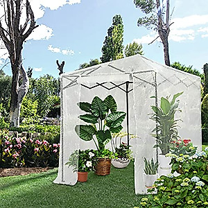 CROWN SHADES 8'x6' Instant Pop-up Walk-in Greenhouse Indoor Outdoor Plant Gardening Green House Canopy, Front and Rear Roll-up Zipper Entry Doors and 2 Roll-Up Side Windows, Transparent