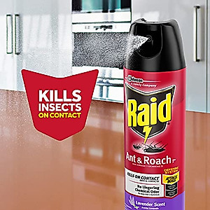 Raid Ant & Roach Killer Spray For Listed Bugs, Keeps Killing for Weeks, Lavender Scent 12 Ounce (Pack of 1)