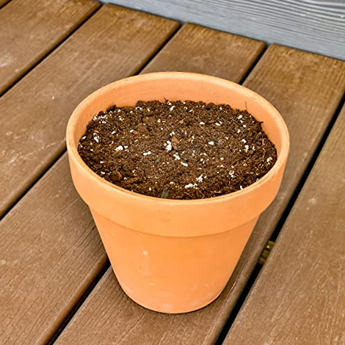 Anthurium Plant Potting Soil Mix (4 Quarts), Indoor Houseplant Custom Blend for Flowering Anthuriums