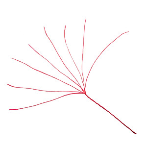 Seashark Braided Fishing Line Color Never Fade 8 Strands Super Strong PE Fishing Line (Black, 20lb 0.20mm-100m/109Yards)