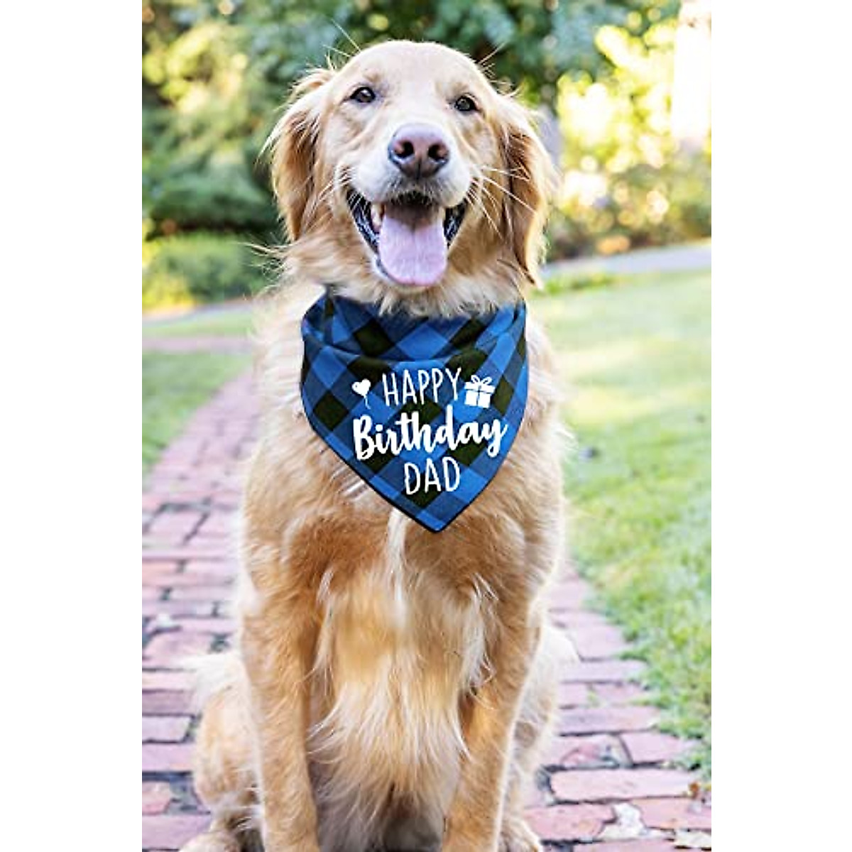 Ptzizi Funny Blue Plaid Happy Birthday Dad Dog Printed Triangle Bandana, Small Medium Large Boy Pet Dog Birthday Party Scarf Bib Accessories for Pet Dog Lovers Gift