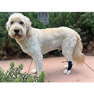 Labra Dog Canine Knuckling Corrector Toe Dragging Brace Wrap for Front or Rear Back Leg Paw