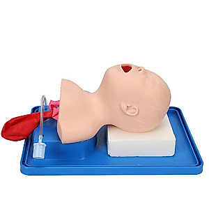 PVC Intubation Manikin Study Teaching Model Infant Baby Model Airway Management Trainer Tool with Tube (US Stock)