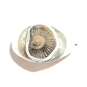 Sudarshan Shaligram Ring In Pure Silver