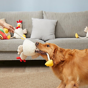 EHEYCIGA Christmas Dog Toys for Large Dogs, Large Squeaky Pet Toys for Entertainment and Gifts, Stuffed Plush Cute Dog Toys Large Breed with Squeaker, Turkey Large