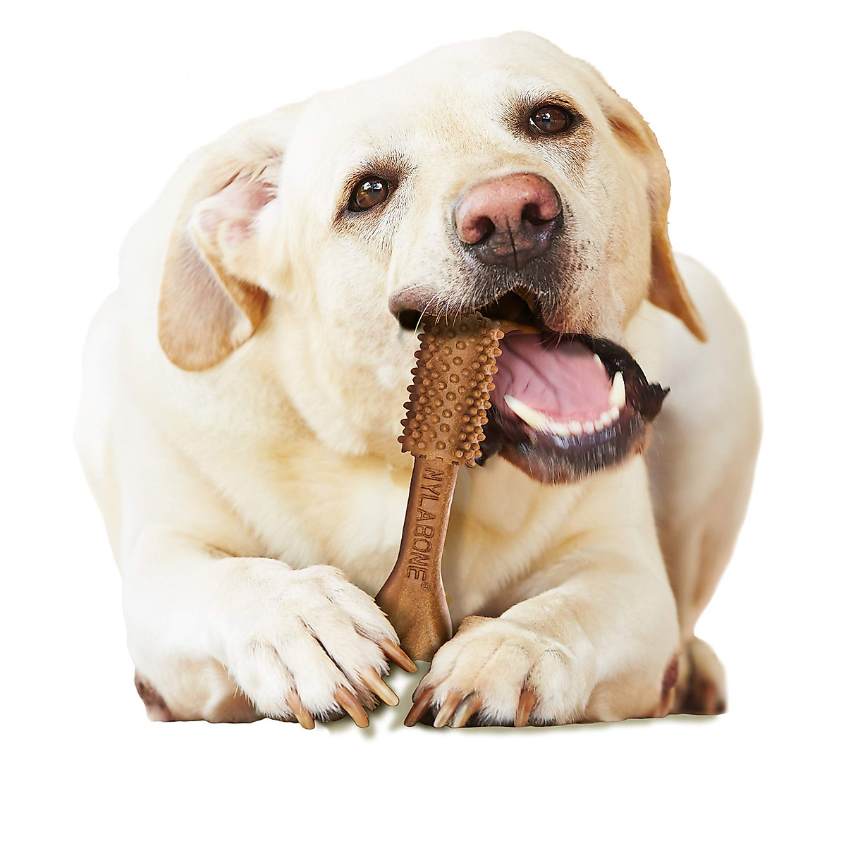 Nylabone Nutri Dent Dog Dental Chews - Natural Dog Teeth Cleaning & Breath Freshener - Dental Treats for Dogs - Filet Mignon Flavor, Large (20 Count)