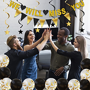 We Will Miss You Decorations Gold Glitter We Will Miss You Banner, Triangle Flag Garland, Star Hanging Swirls and Balloons for Office Leaving, Farewell, Goodbye, Going Away Party Decorations