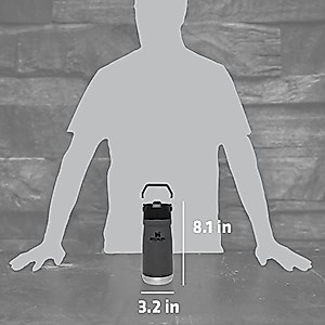 Stanley IceFlow Stainless Steel Water Jug with Straw, Vacuum Insulated Water Bottle for Home and Office, Reusable Tumbler with Straw Leakproof Flip, 17 ounces