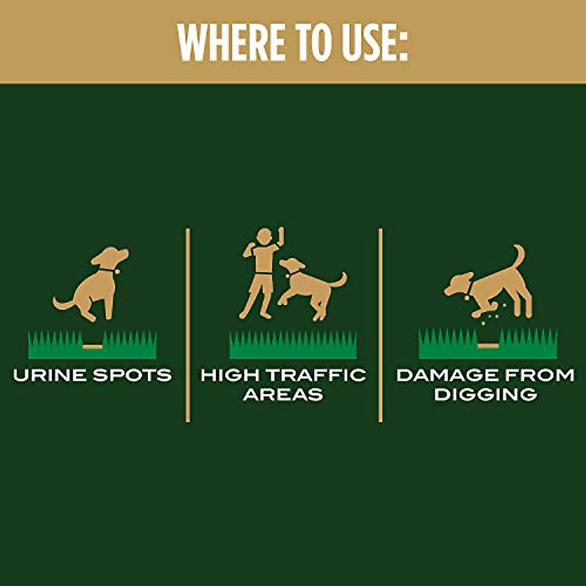 Scotts EZ Seed Dog Spot Repair Tall Fescue Lawns - 2 lb., Combination Mulch, Seed and Soil Amendment Includes Protectant and Tackifier, Neutralizes and Repairs up to 100 Dog Spots