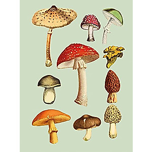 The Antiquarian Sticker Book: Over 1,000 Exquisite Victorian Stickers (The Antiquarian Sticker Book Series)