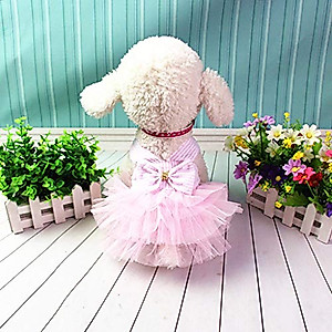 HonpraD Rainbow Dog Sweater Pet Bottoming Dress Stripe Print Summer Soft Vest Outfit for Dogs Walking Travel Apparel Pet Clothes