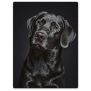 HommomH Black Lab Blanket, Gorgeous Labrador Dog Print, Soft Fluffy Fleece Throw 50"x60"
