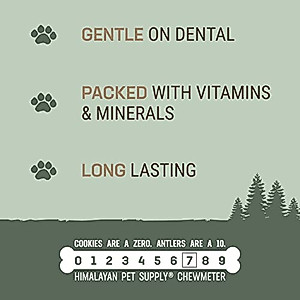 Antler and Himalayan Cheese Dog Chew | Long Lasting, Stain Free, Protein Rich, Low Odor | 100% Natural, Healthy & Safe | No Lactose, Gluten Or Grains | Antler Bone | for Dogs 45 Lbs & Smaller
