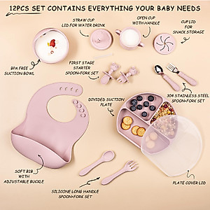 Vivalada Silicone Baby Feeding Set - 12PCS Baby Led Weaning Supplies, Baby Suction Plate with Lid and Bowl Set, Baby Self Feeding Spoons Forks Sippy Cup and Bib, Baby Eating Set 6+ Months (Pink)