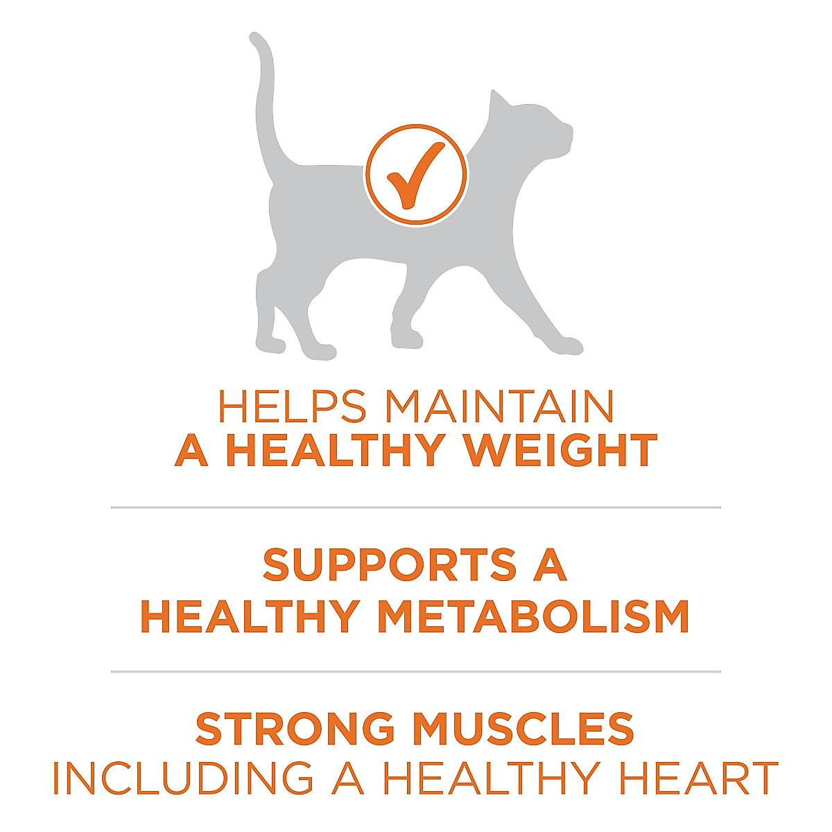 Purina ONE High Protein, Healthy Weight Dry Cat Food, +Plus Ideal Weight With Turkey - 3.5 lb. Bag