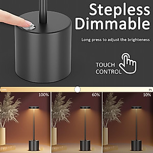 Howskys 2 Pack USB Rechargeable Desk Lamp, Modern LED Cordless Desk Lamp, 5500mAh 3 Tone Light Touch Desk Lamp for Dining Room/Indoor/Outdoor (Black)