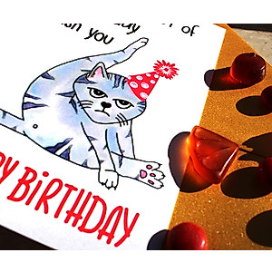 Taking Time out of My Busy Day to Wish You a Happy Purr-fect Birthday Handmade Card from Grumpy Cat, Funny Bday Gift for Cat Mom, Cat Dad or Cat Lover