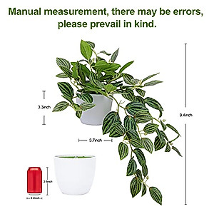 CEWOR Fake Plants,2 Pack,Realistic Artificial Hanging Plants,Faux Peperomia Watermelon Plants,Indoor Outdoor Decor