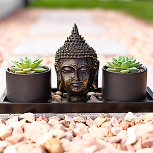Buddha Statue & Succulent Zen Garden Set- Buddha Head Statue w/ Wooden Display Tray & Stones| Buddha Decor For Home Decor. Beautiful & Peaceful. Great Meditation Gifts.