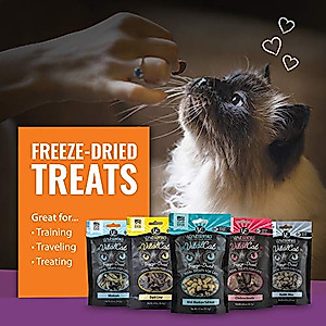Vital Cat Vital Essentials Minnows Freeze-Dried Cat Treats - All Natural Raw Treat - Made & Sourced in USA - Grain Free - 0.5 oz Resealable Pouch - 3 Pack