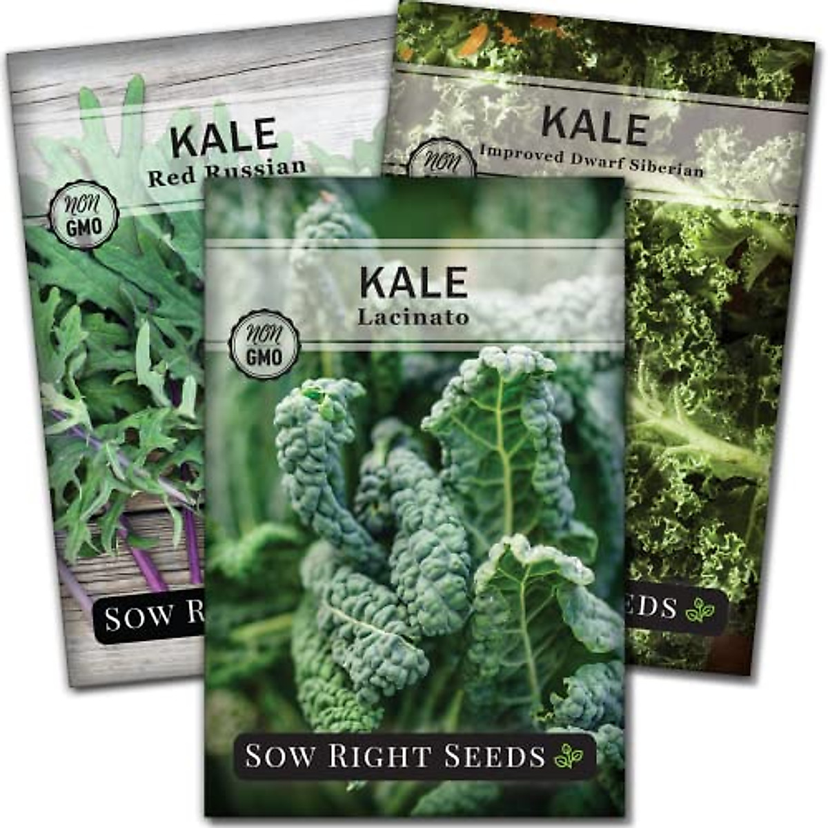 Sow Right Seeds - Kale Seed Collection for Planting - Non-GMO Heirloom Packet with Instructions to Plant and Grow a Home Vegetable Garden, Great Gardening Gift