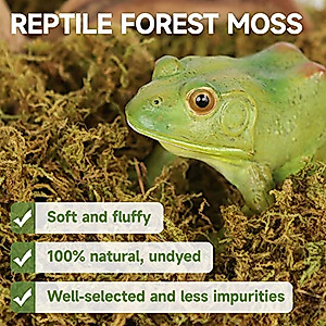 LUVCOSY Reptile Coconut Fiber Substrate & Forest Moss Combo Clean Bedding Accessories for Bearded Dragon/Snake/Lizard/Gecko/Tortoise, Tarantula Terrarium Tank Humidity Control and Odor Absorbent