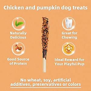 Probiotics for Dogs, Improve Yeast Balance, Itchy Skin Itchy Ears, Chicken Wrapped Sticks Pumpkin Dog Treats,14.1oz Rawhide Free