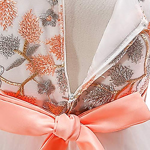 12 18 24 Months Formal Pageant Princess Easter Dresses for Girls Embroidery Sleeveless 2T Little Girl Elegant Spring Prom Lace Dresses 24M Orange