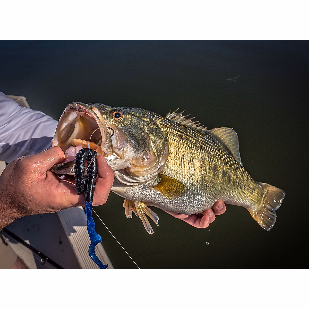 Berkley PowerBait® Power Worm Fishing Bait, Cherryseed, 7in | 18cm, Irresistible Flavor, Classic Curly Tail Worm Profile, Ideal for Spring, Summer and Fall Fishing