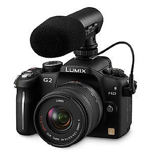 Panasonic Lumix DMC-G2 12.1 MP Live MOS Mirrorless Digital Camera with 3-Inch Touch Screen LCD and 14-42mm Lumix G VARIO f/3.5-5.6 MEGA OIS Lens (Black)
