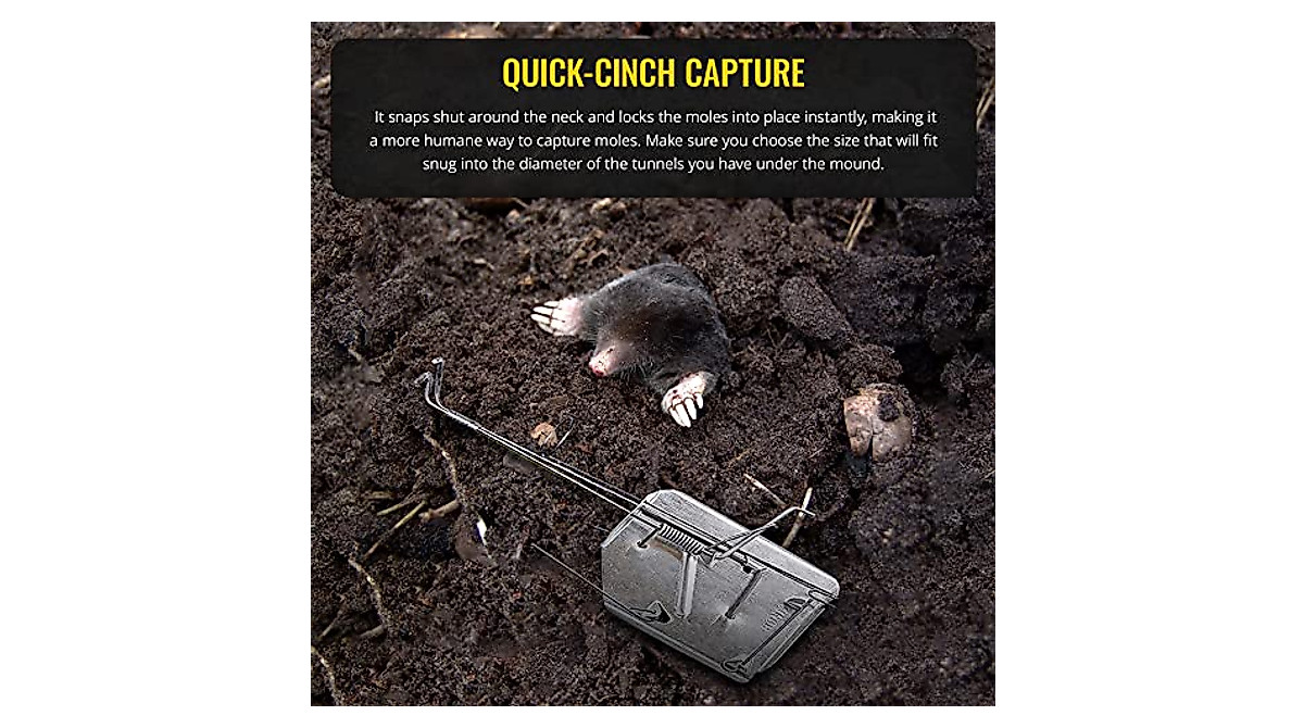 Cinch Mole Trap Deluxe Kit - Heavy Duty & Reusable