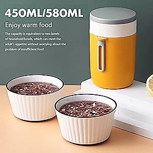 Insulated Lunch Container Hot Food Jar, 19.6 oz Stainless Steel Vacuum Bento Lunch Box for Kid Adult with Spoon, Leak Proof Hot Cold Food Flask for School Office Outdoor (Pink)