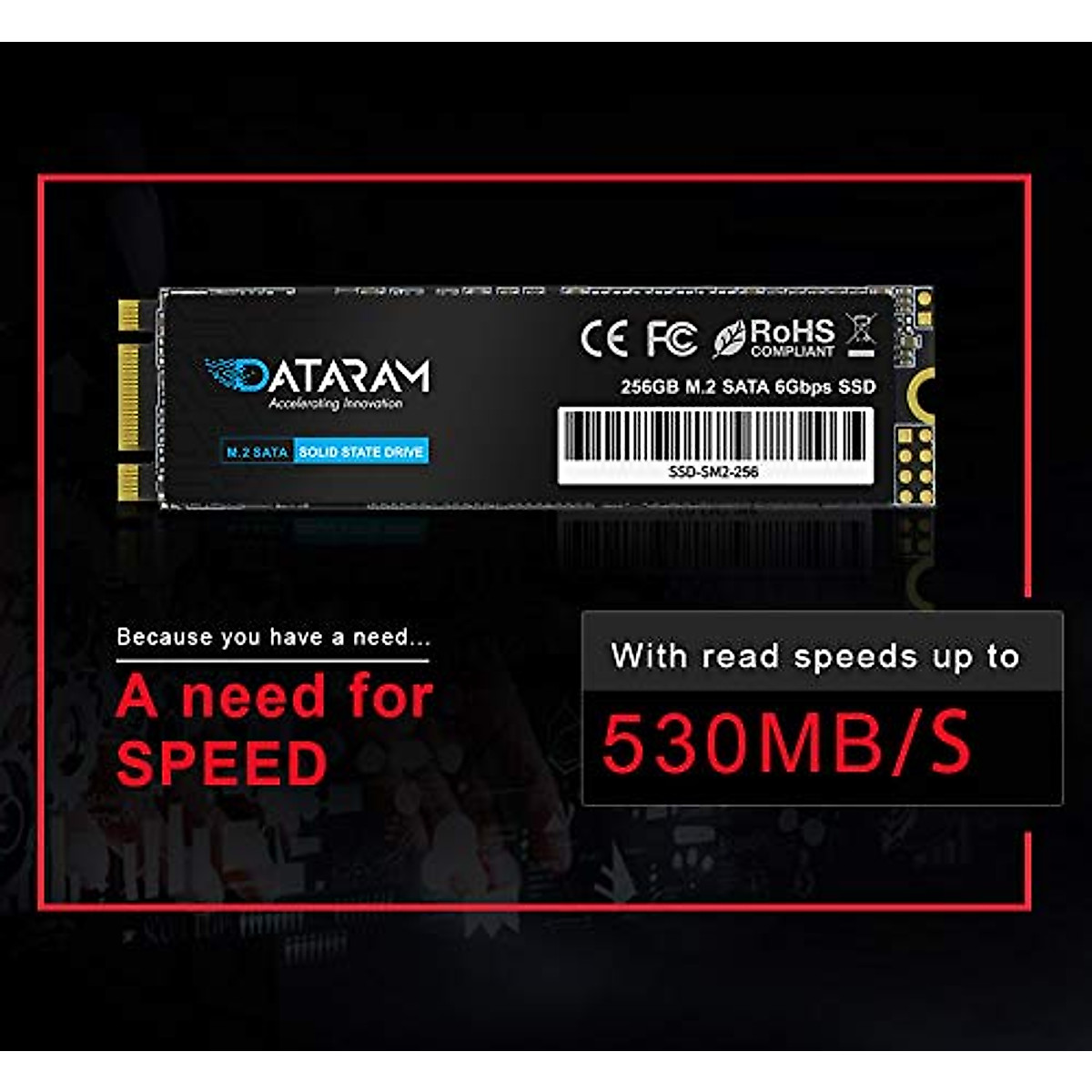 Dataram M.2 SSD 256GB, M.2-2280 Internal Hard Drive Sata Protocol, 550MB/S 6Gbps,High-Performance for Laptop PC, Desktop