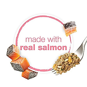 Purina Beneful Gravy, High Protein Wet Dog Food, Chopped Blends With Salmon - (8) 10 oz. Tubs