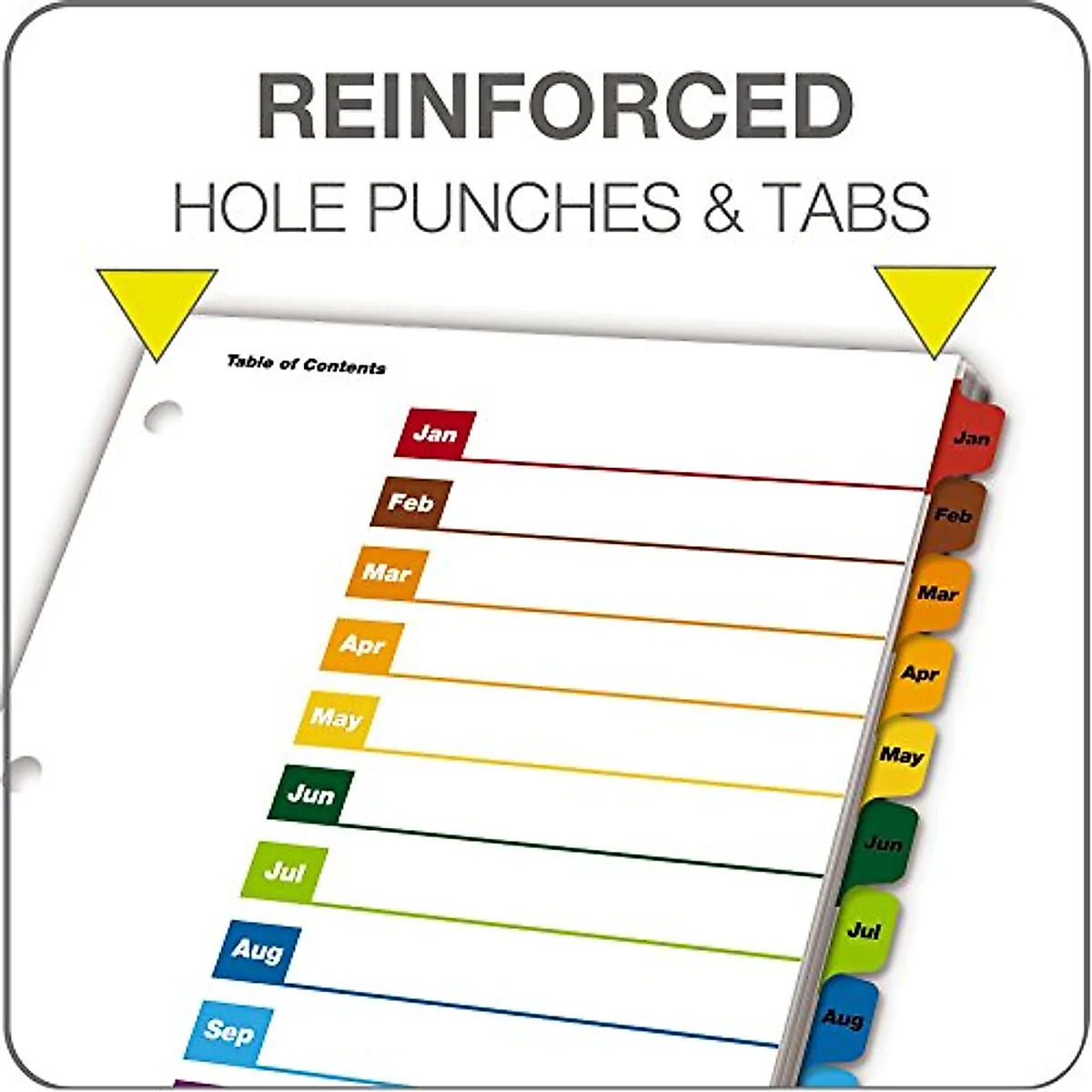 Cardinal OneStep Binder Dividers, 12-Tab Monthly, Customizable Table of Contents, Reversible Multicolor Tabs, 1 Set (60318CB)